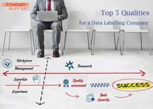 Top 5 qualities to check out before finalizing a data labelling company ...