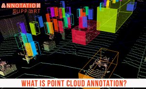 What is Point Cloud Annotation? – Data labeling and Image annotation ...