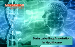 Data Labelling Annotation in Healthcare: Improving Accuracy in Medical ...