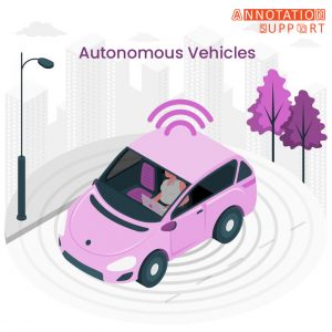 Enhancing Autonomous Vehicles with Advanced Image Labelling Techniques ...