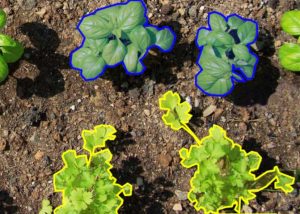 The Future of Polygon annotation in AI and machine learning – Data ...